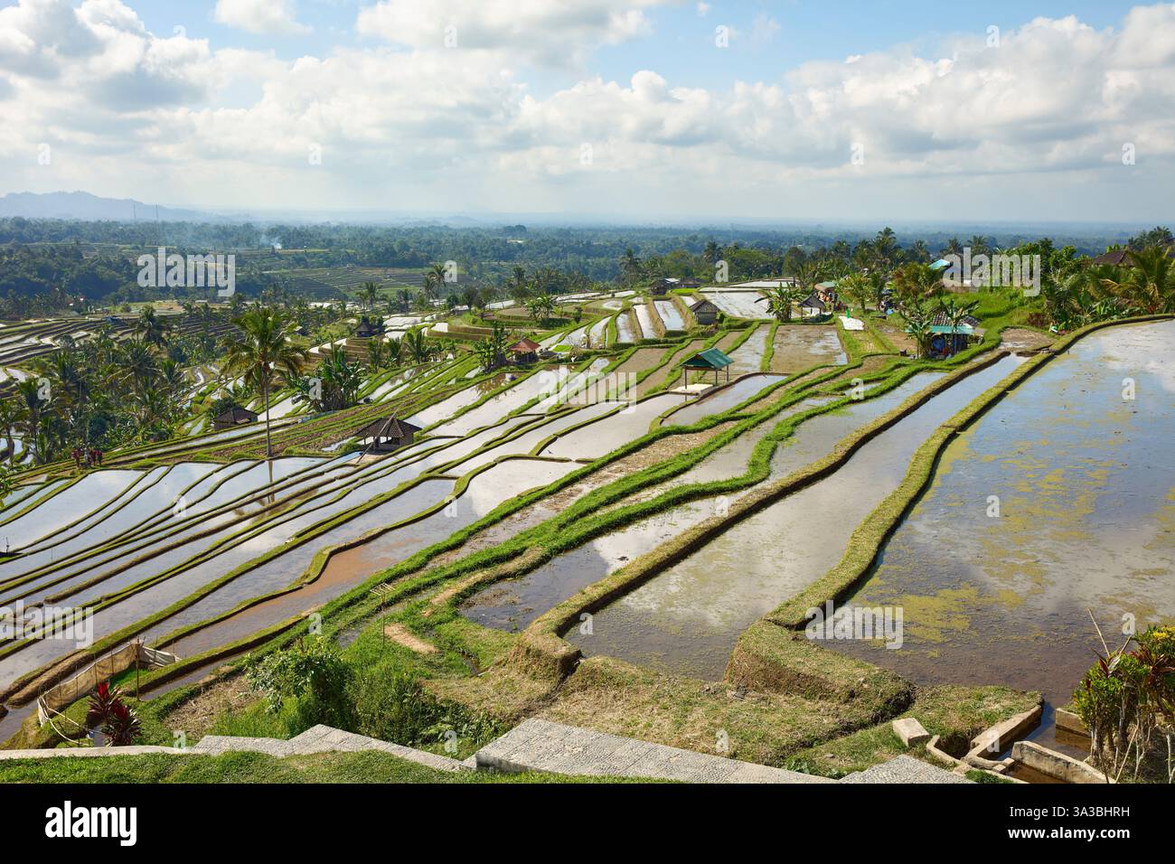 Scenic view of flooded Jatiluwih Rice Terraces using traditional Subak irrigation system and ...