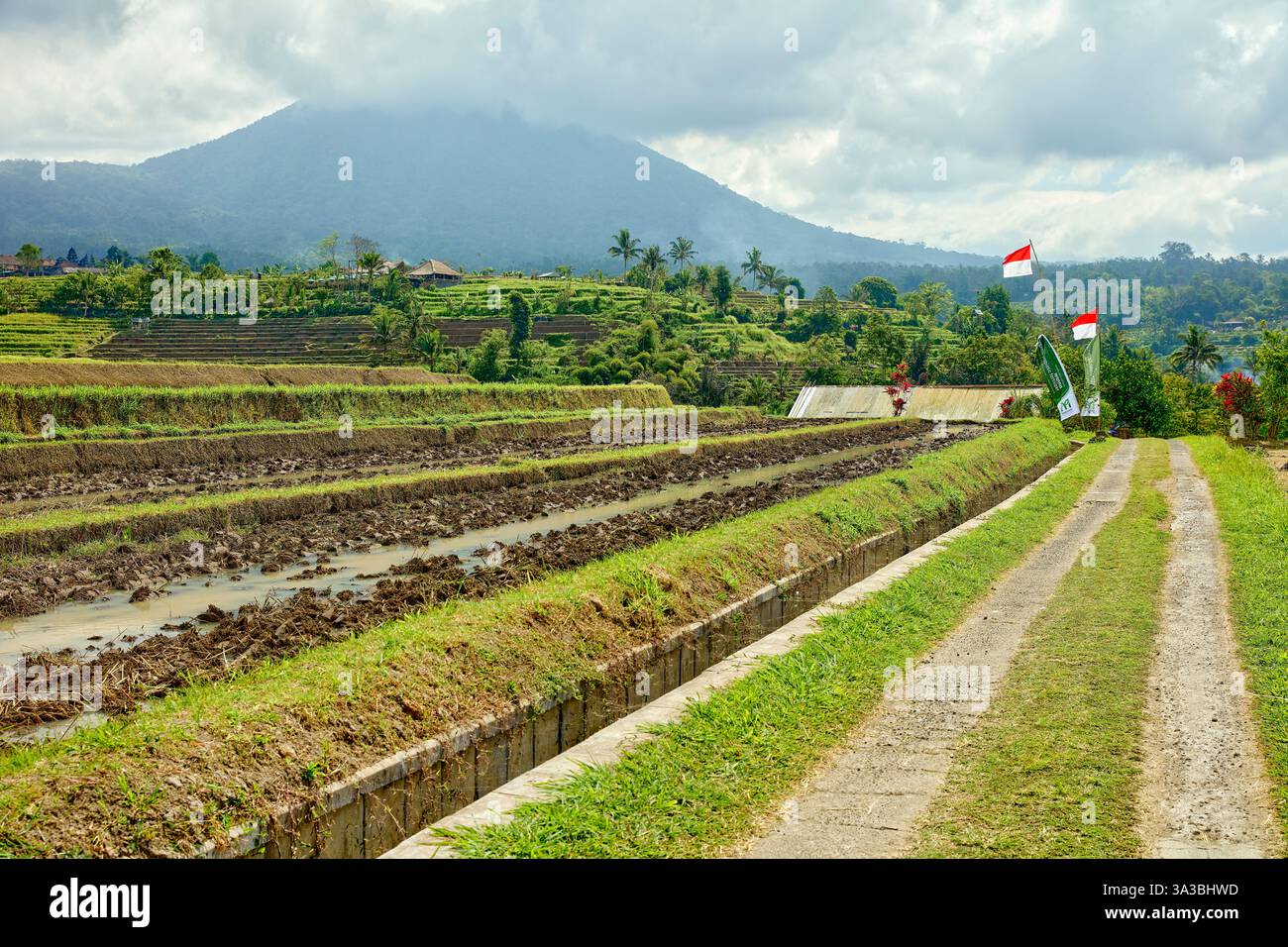 Scenic view of Jatiluwih Rice Terraces using traditional Subak ...