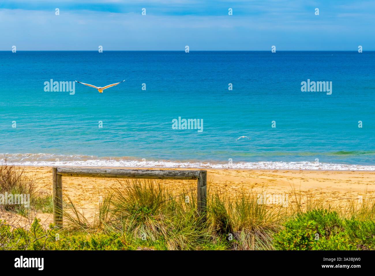Summer at Aslings Beach, Eden on the South Coast of New South Wales ...