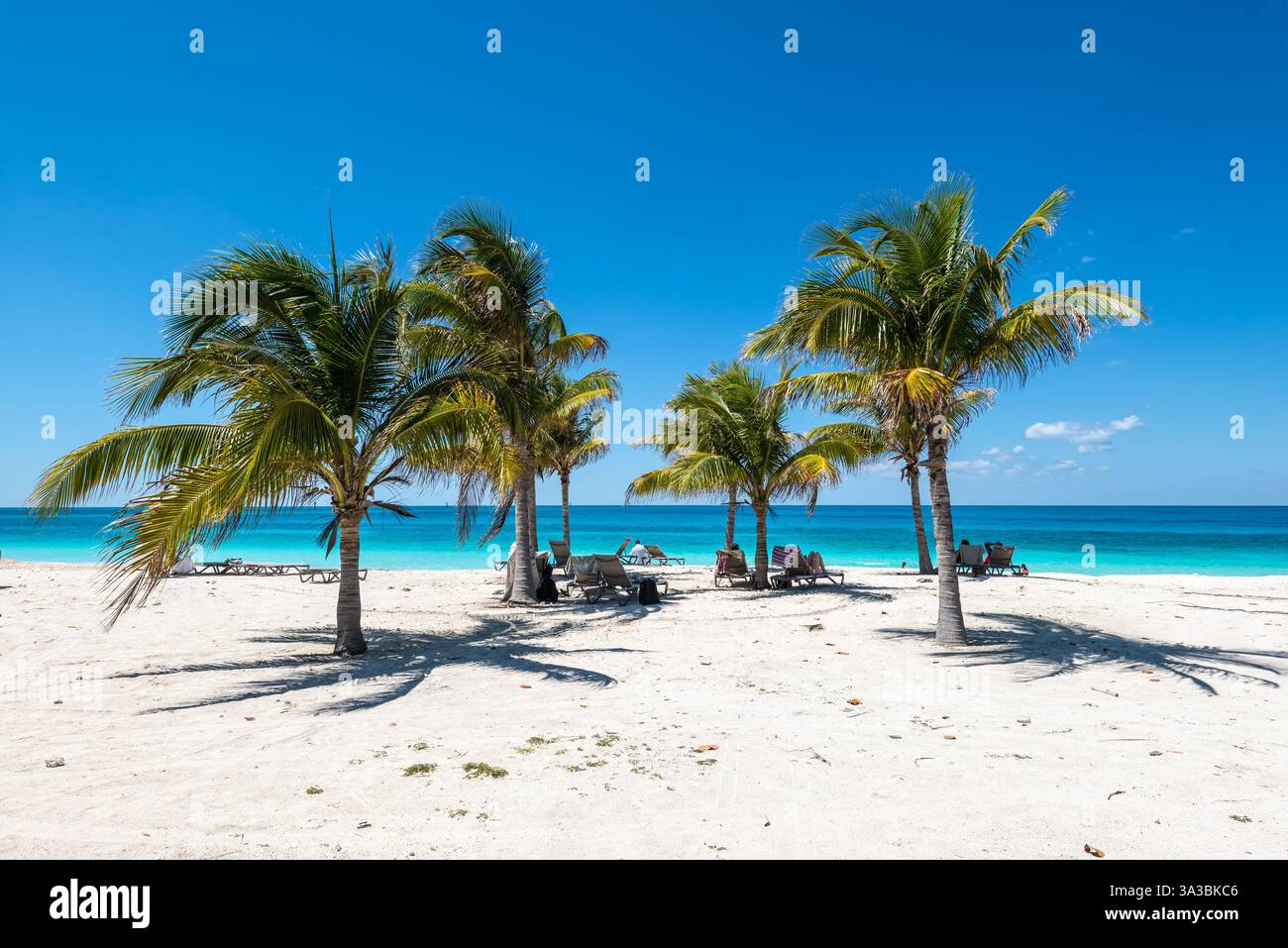 Ocean Cay MSC Marine Reserve, The Bahamas - April 6, 2024: Beautiful ...