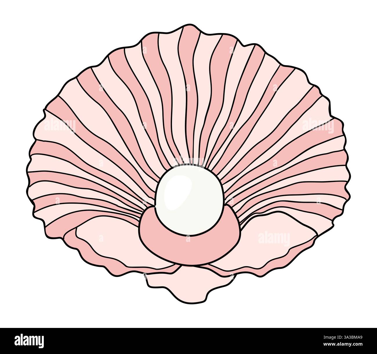 Open seashell with a pearl inside vector isolated Stock Vector Image ...