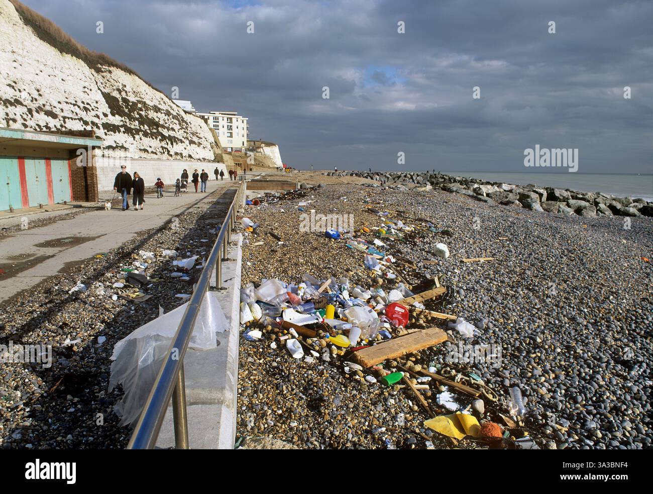 Assorted items of litter - including plastic, polystyrene and wood ...