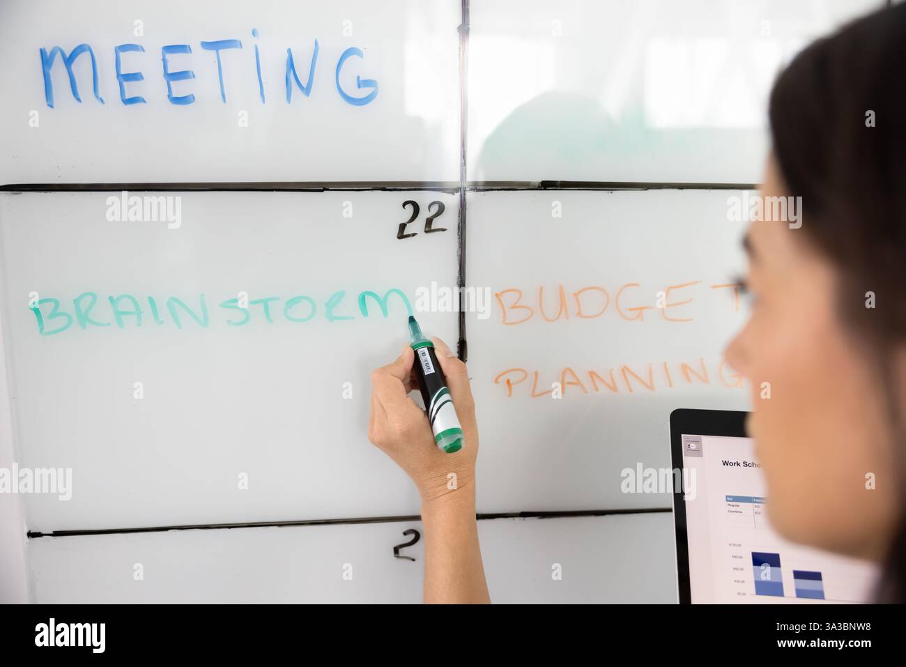 Female project manager planning work on project, teamwork, writing ...