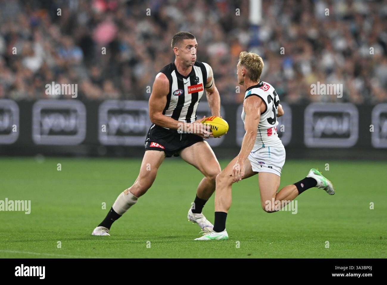 Melbourne, Australia. 15th Mar, 2025. Darcy Cameron of Collingwood ...