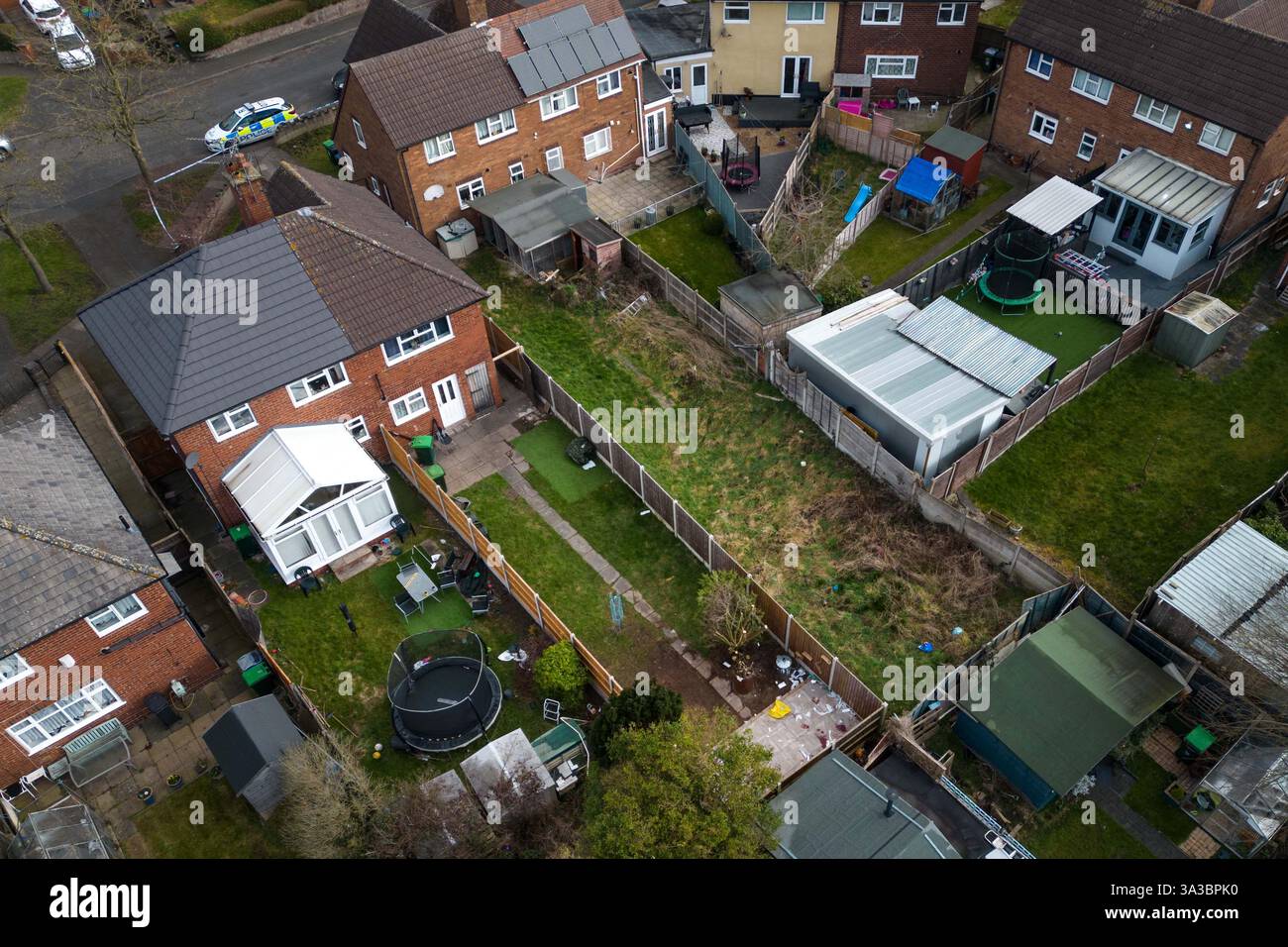 Xl bully dog hi-res stock photography and images - Alamy