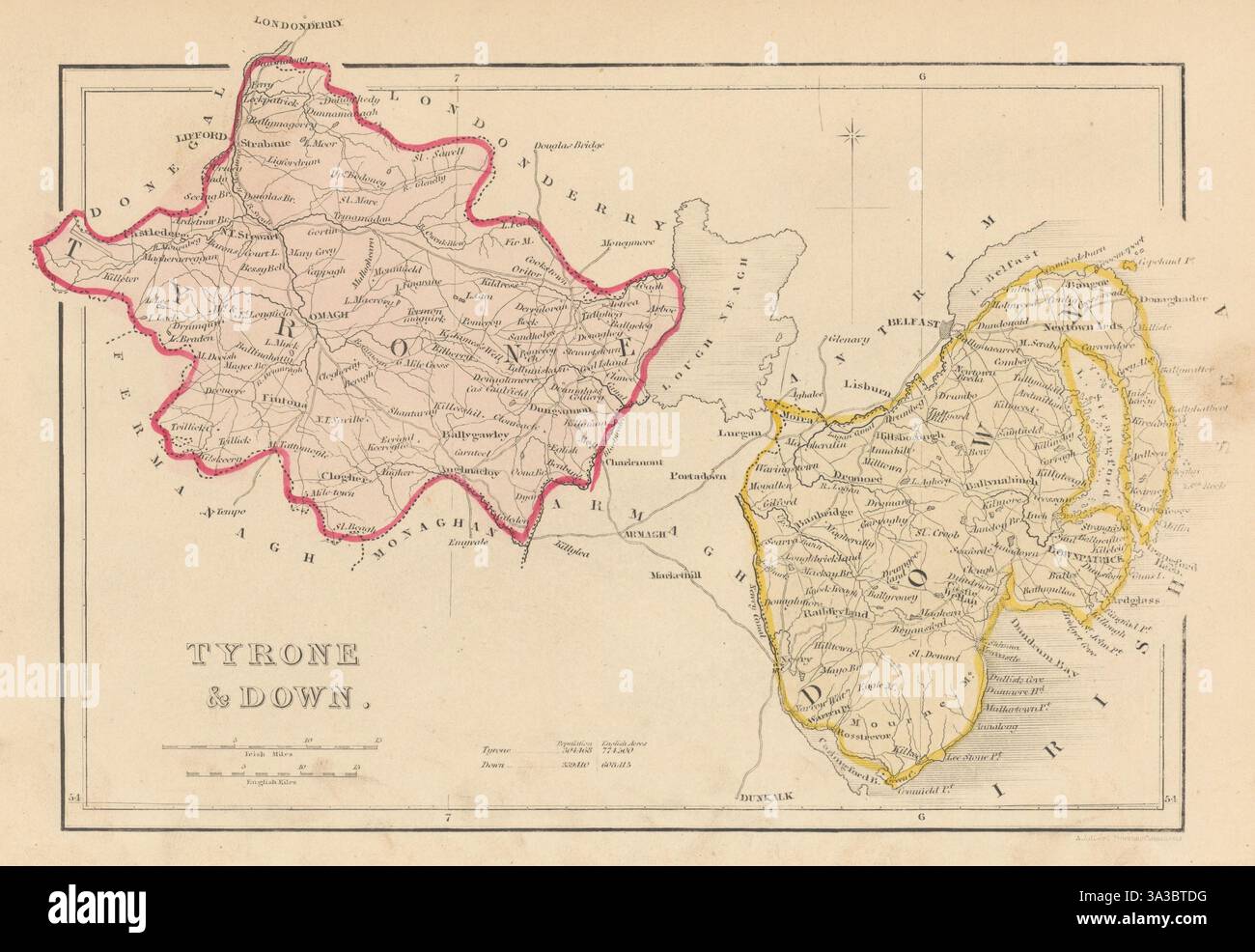 Antique TYRONE & DOWN county map by Alfred ADLARD. Northern Ireland ...