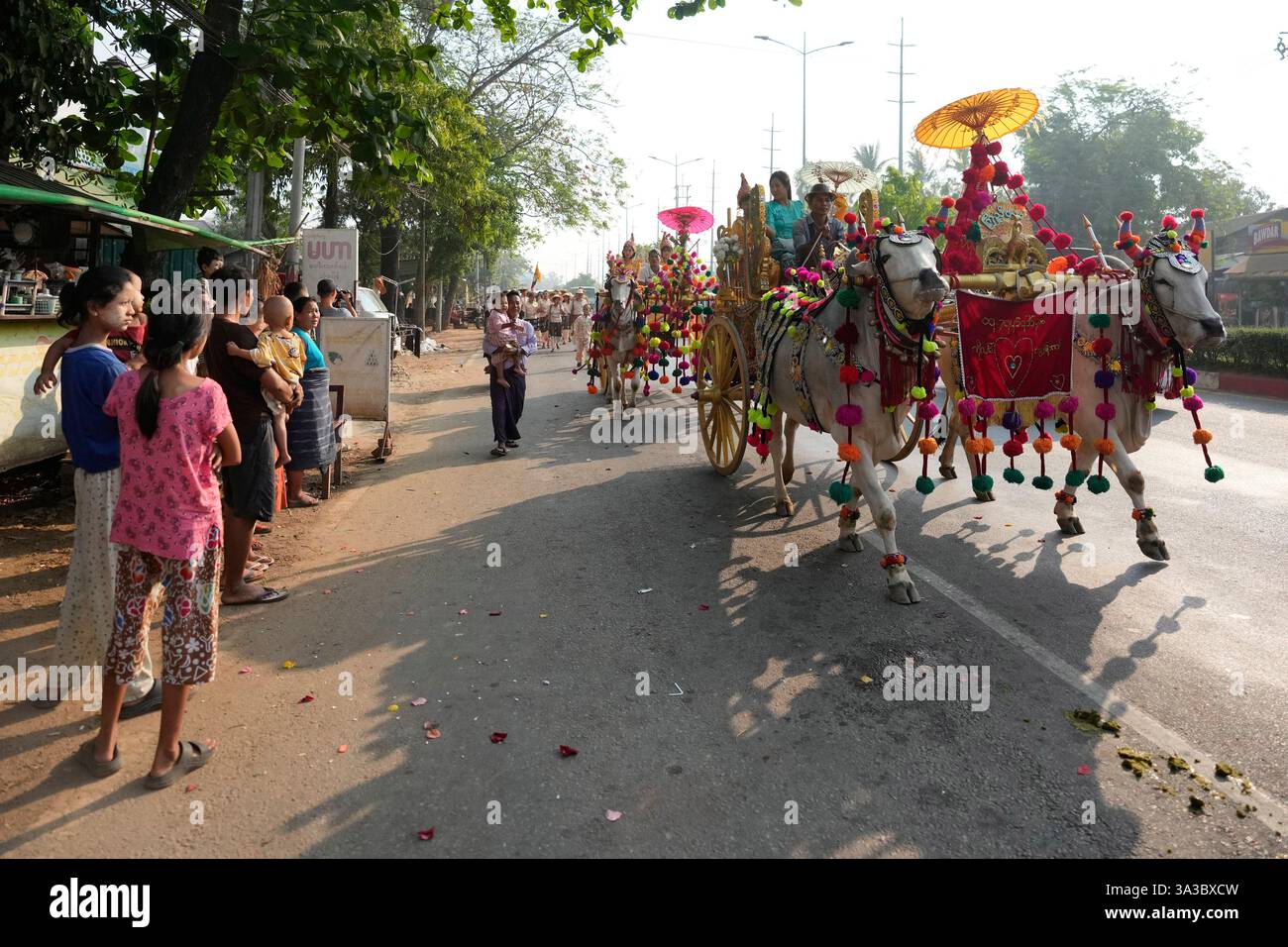 Children who are to become Buddhist nuns ride on decorated cow carts during a processional ...