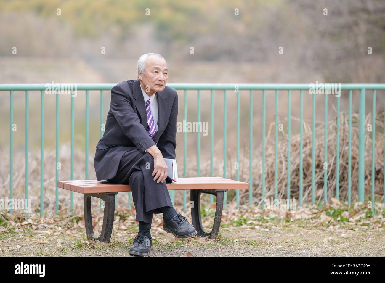A comfortable spring daytime park with plenty of greenery in Japan. A ...