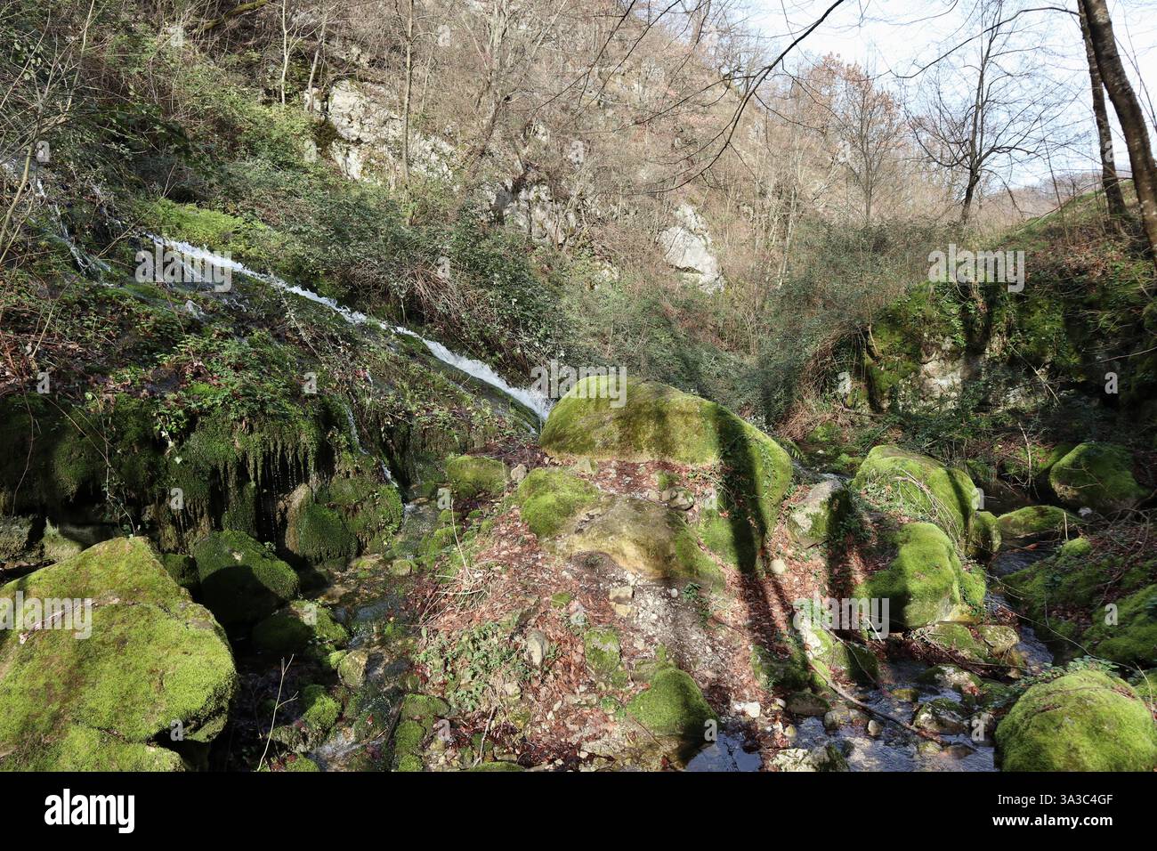 Oasi del torrente di montagna hi-res stock photography and images - Alamy