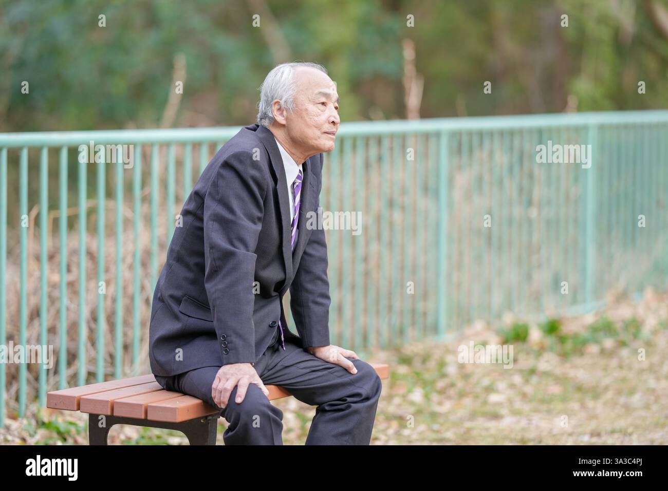 A comfortable spring daytime park with plenty of greenery in Japan. A ...
