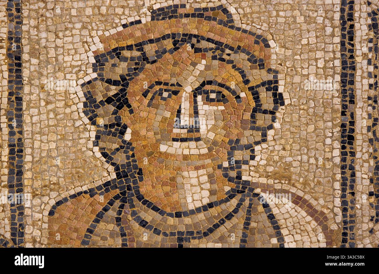 Head of unknown man in detail of Roman Empire Labours of Hercules ...