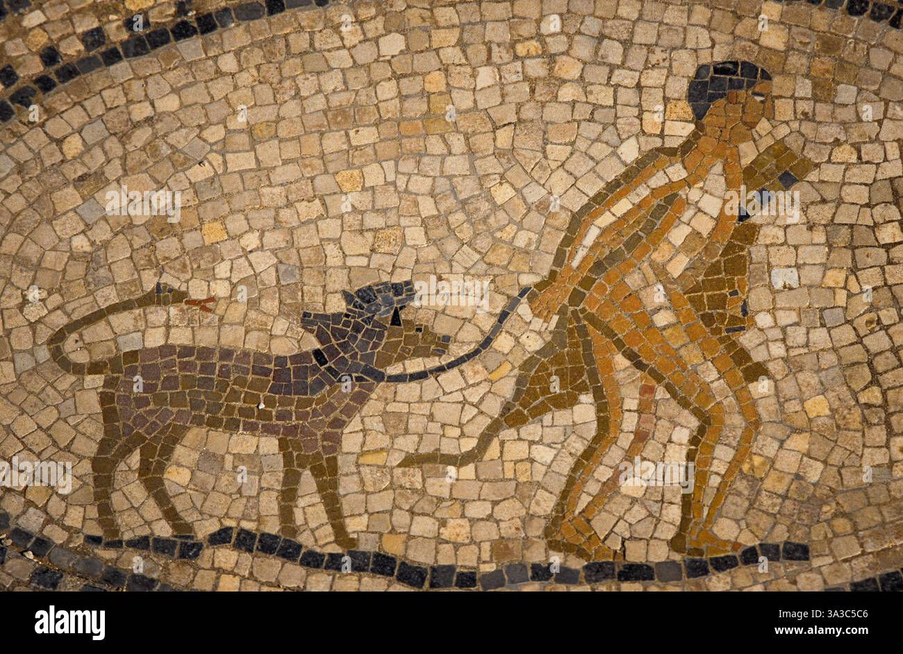 Hercules pulls three-headed dog Cereberus or Cerberus on a lead after ...