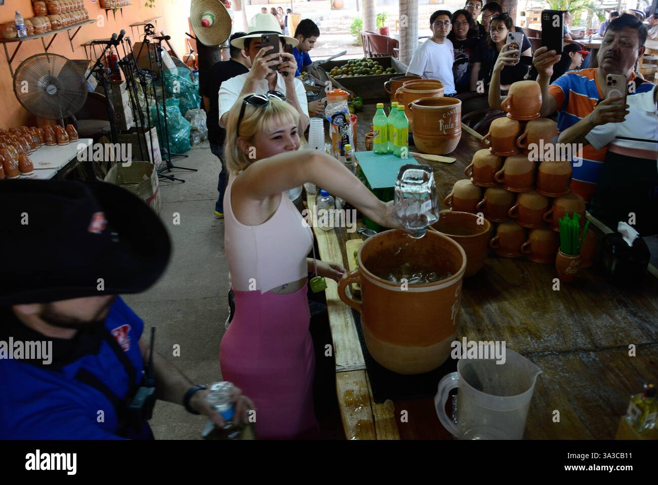 Agave Landscape In Tequila, Jalisco A World Heritage Site by UNESCO A ...