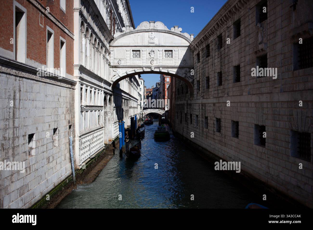 Italien, Venetien, Venedig REISE - 15.03.2025, Italien, ITA, Venetien ...