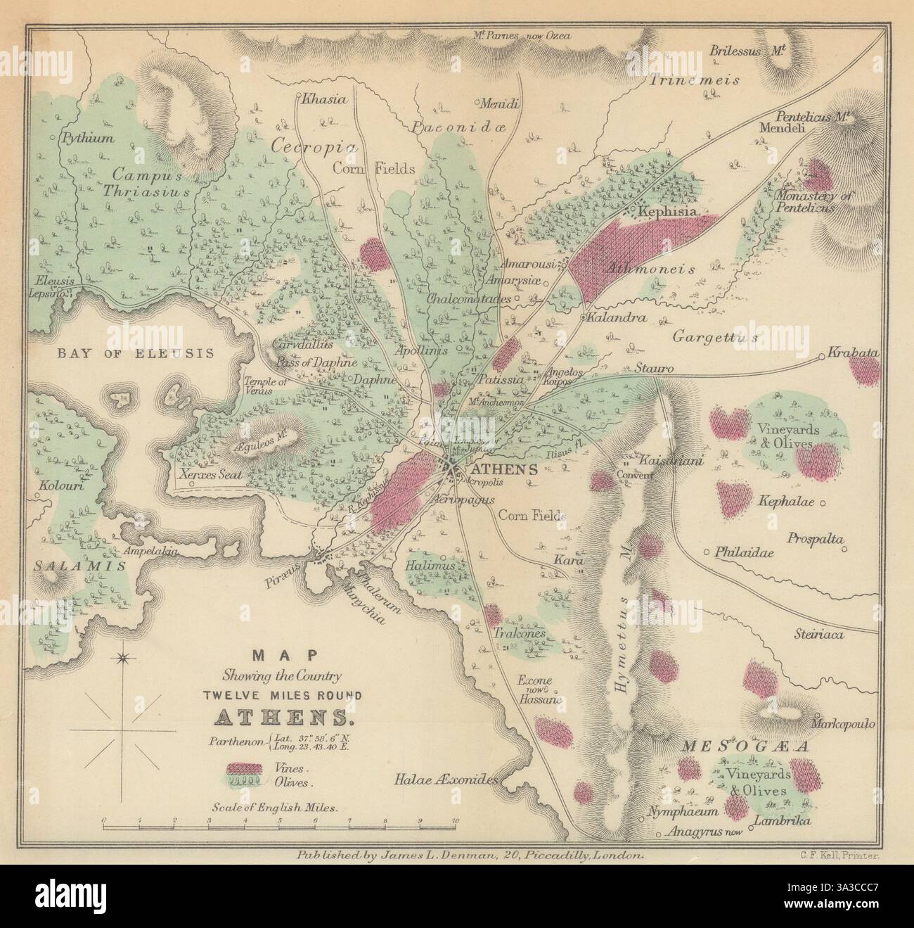 Map of Athens region vineyards and olive cultivation by James Denman ...