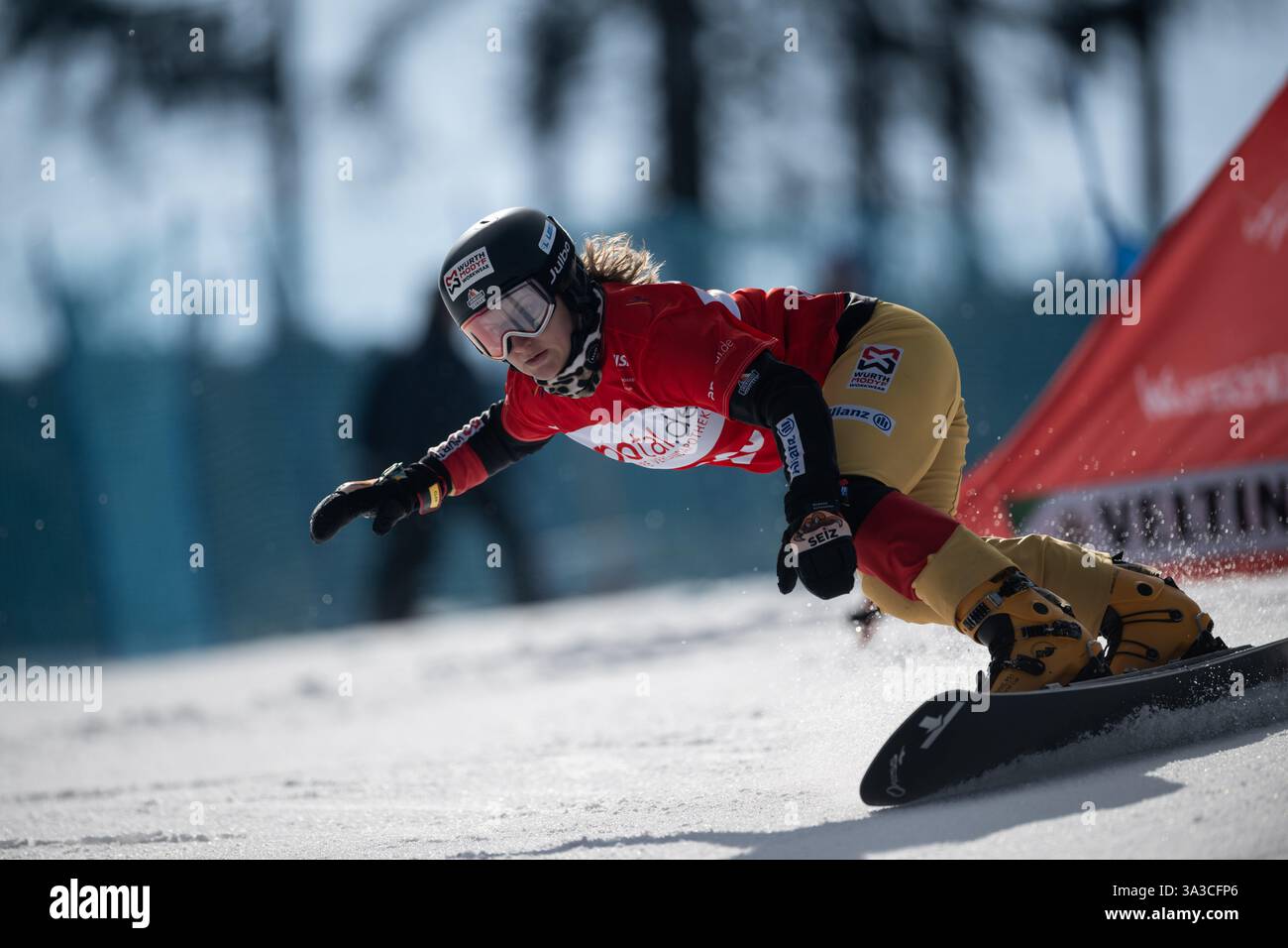 Winterberg, Germany. 15th Mar, 2025. Snowboard: World Cup, Parallel ...
