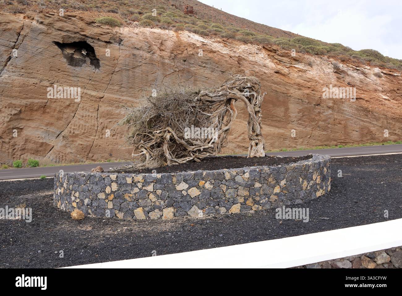 Wind bent juniper tree, Monumento a la Sabina de El Hierro near Puerto ...
