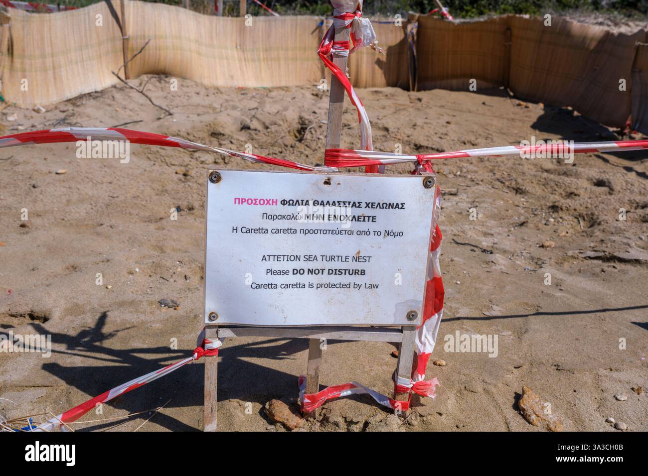 Paros, Greece - 9 October 2024: a protected sea turtle nest (Caretta ...