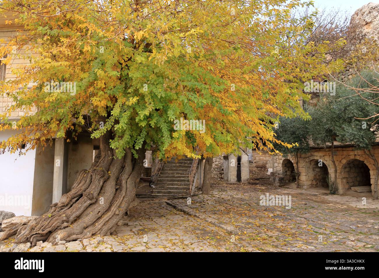 Yazidis temple in Lalish, Kurdistan, Iraq Stock Photo - Alamy