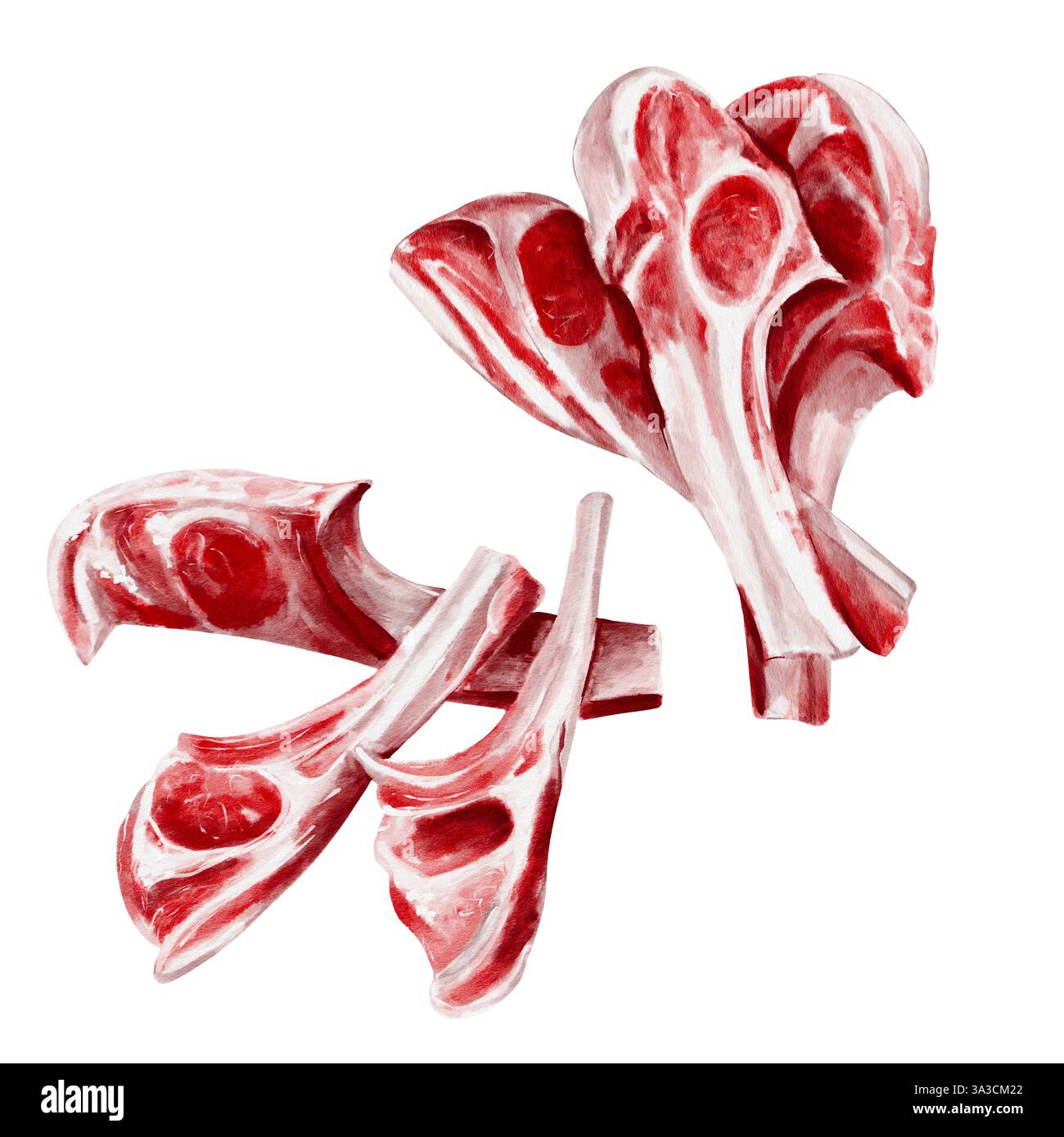 Set of meat on the bone. Different types of meat for barbecue. Lamb on ...