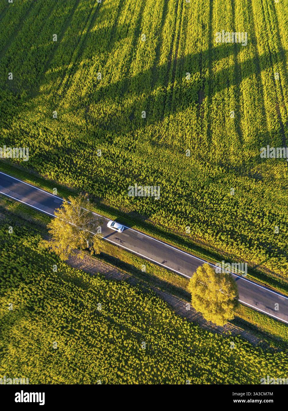 Aerial view road cars sunflower hi-res stock photography and images - Alamy