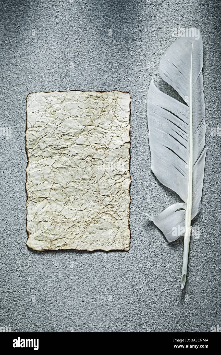 Vintage blank sheet of paper quill on grey background Stock Photo - Alamy