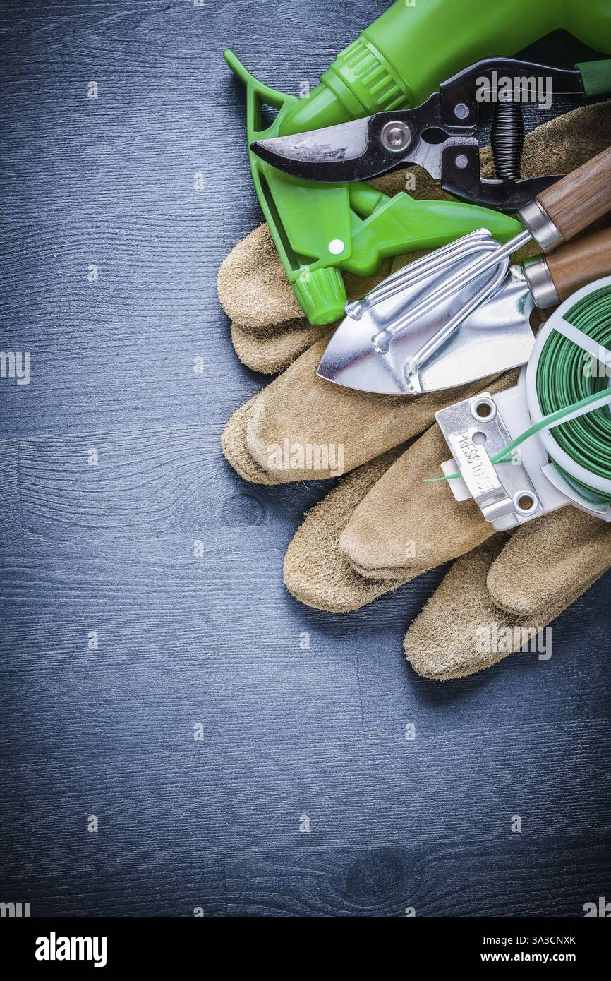 Vertical view green wire glove fork spade secateurs sprayer Stock Photo ...