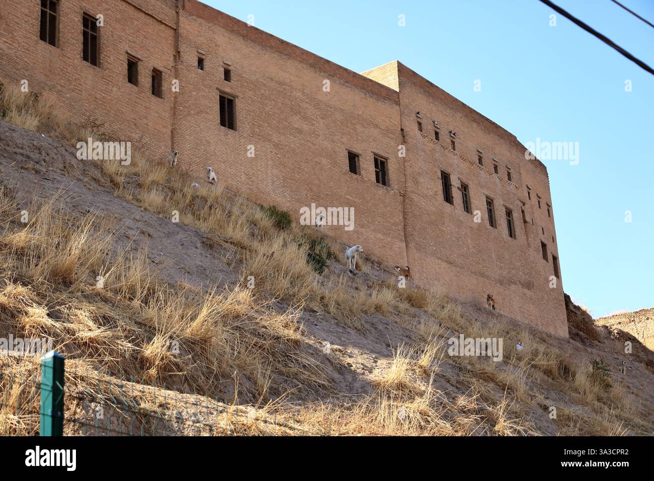 Erbil, Arbil, Kurdistan in Iraq - November 20 2024: around the Erbil ...