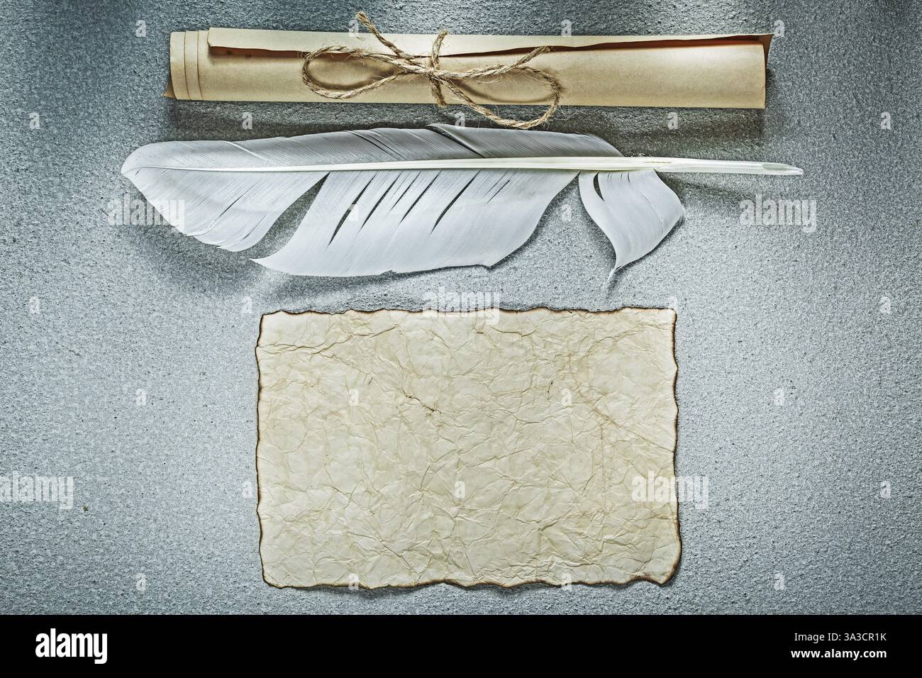Vintage paper sheet rolls plume on grey background Stock Photo - Alamy