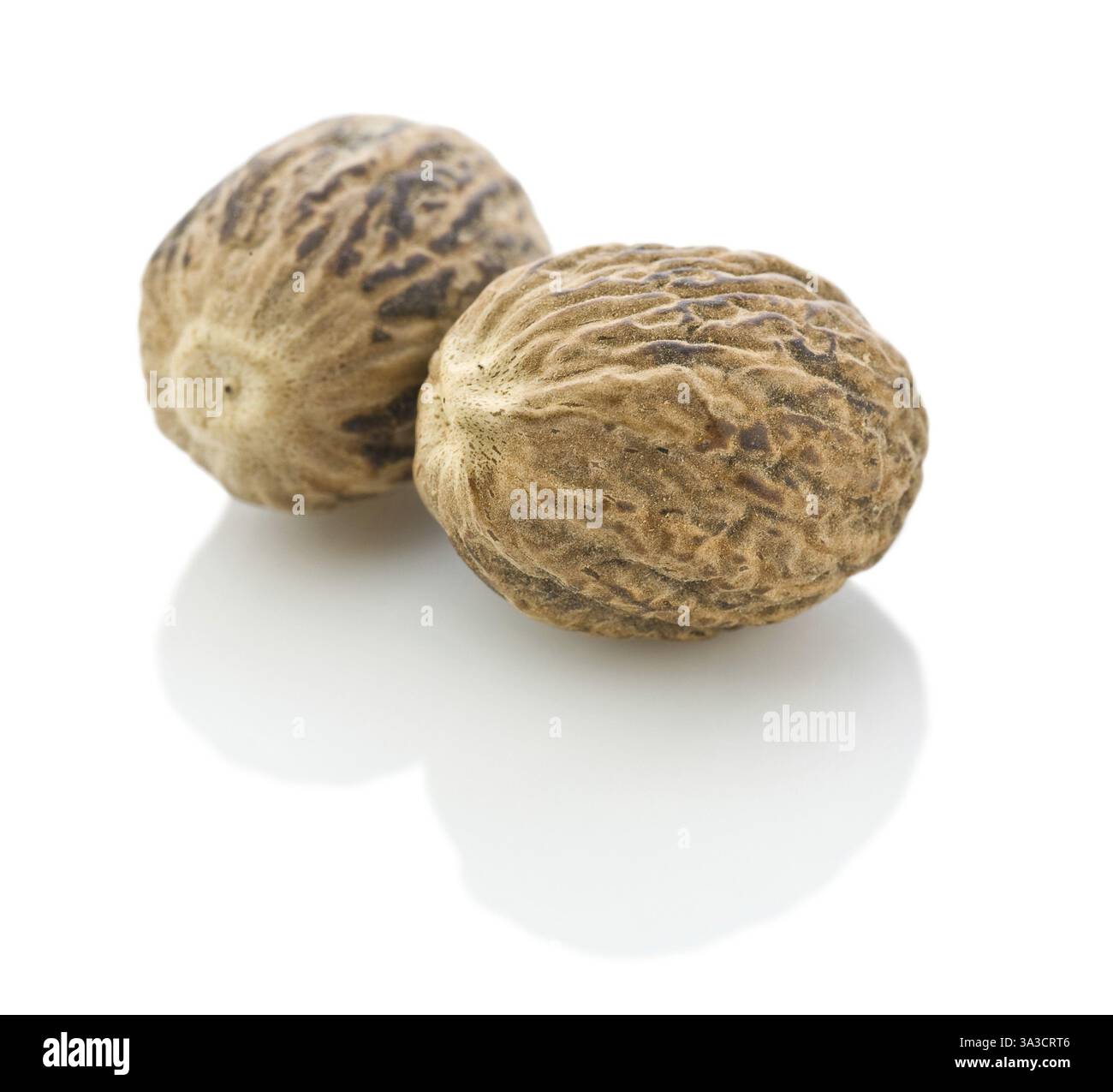 Nutmeg patterns Cut Out Stock Images & Pictures - Alamy