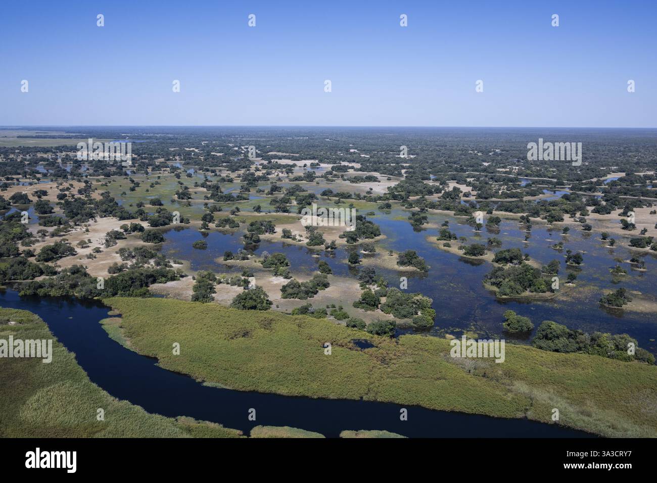Okawango Delta panhandle, borderland between the Okawango alluvial ...
