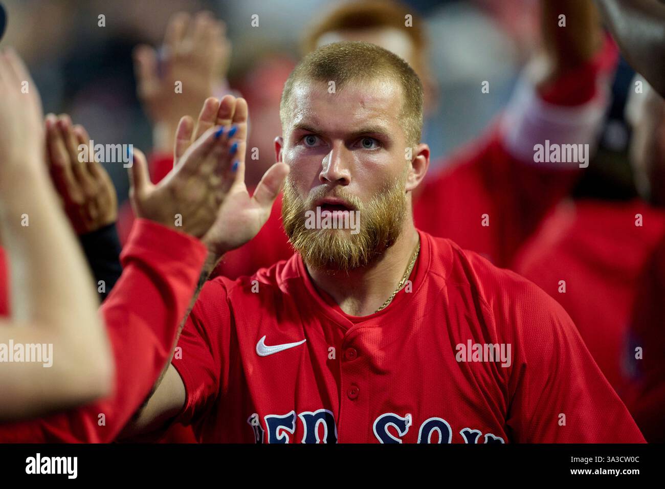 Boston Red Sox Brooks Brannon (71) high fives teammates after scoring a ...