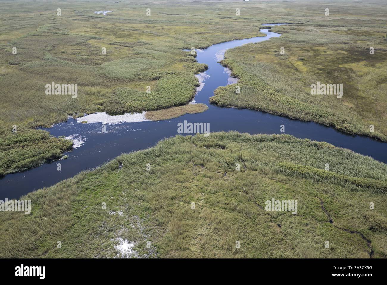 Okawango Delta pan style, meandering courses of the Okawango River ...
