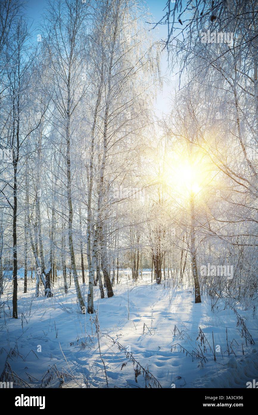 X ray fog hi-res stock photography and images - Alamy