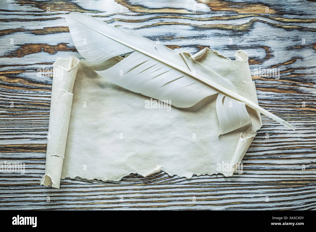 Vintage paper roll feather hi-res stock photography and images - Alamy