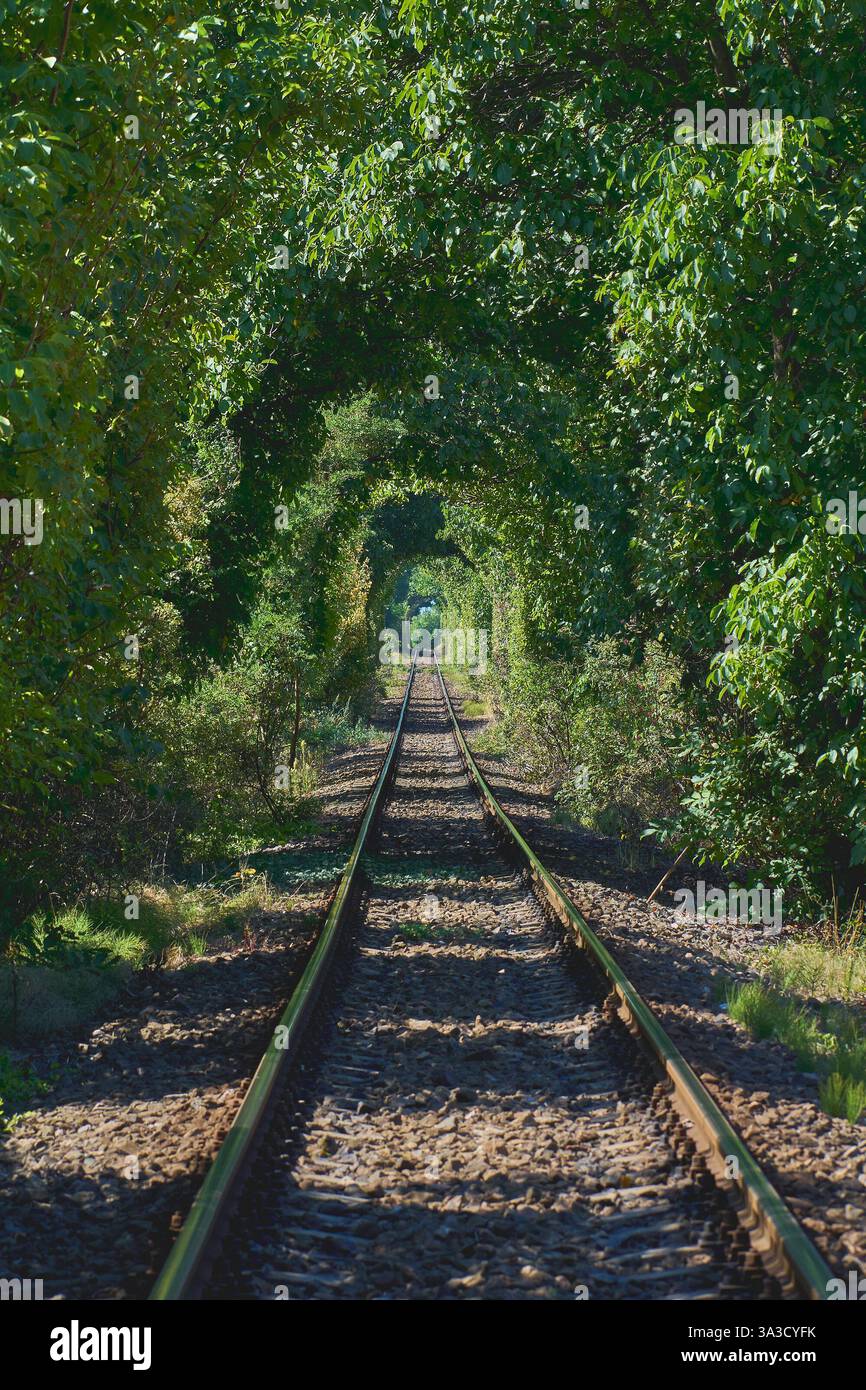 natural tunnel on the railway at Campulung Muscel Stock Photo - Alamy