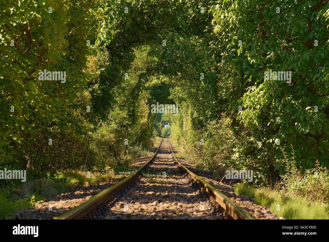 natural tunnel on the railway at Campulung Muscel Stock Photo - Alamy