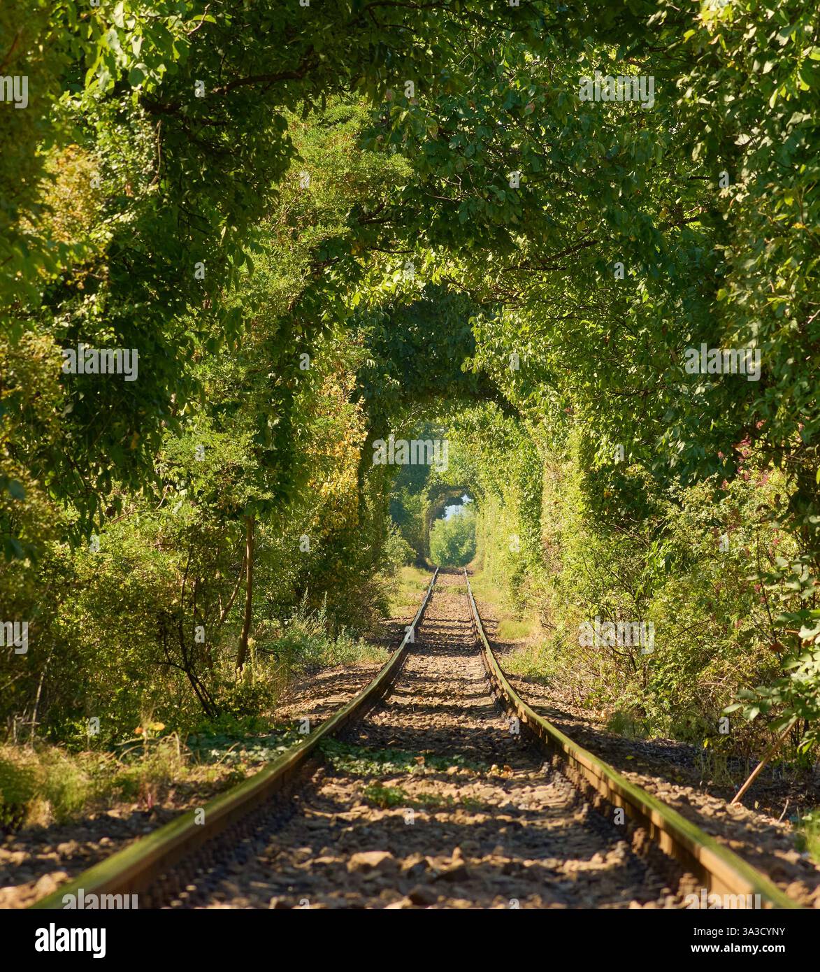 natural tunnel on the railway at Campulung Muscel Stock Photo - Alamy