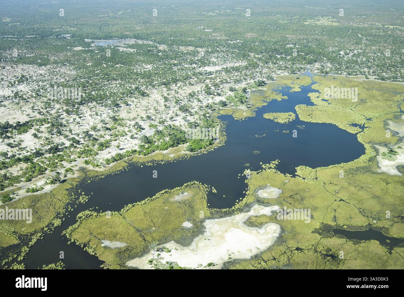 Okavango Delta aerial view, Moremi Game Reserve, Okavango Delta, Maun ...