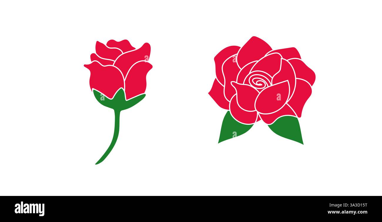 Simple red rose and blooming flower with green leaves on clear ...