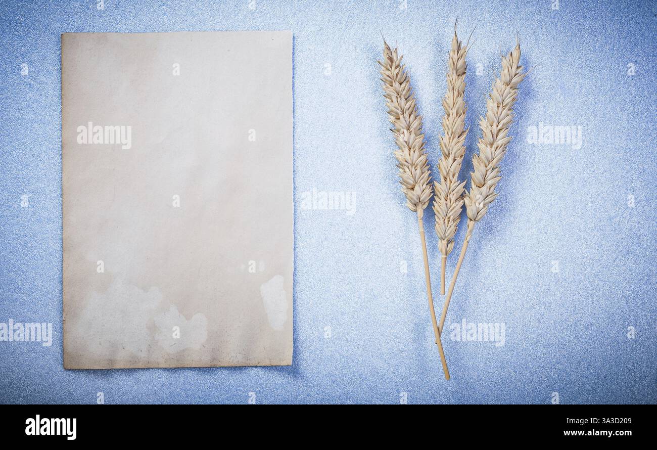 Wheat ears vintage clean paper sheet on blue background horizontal ...