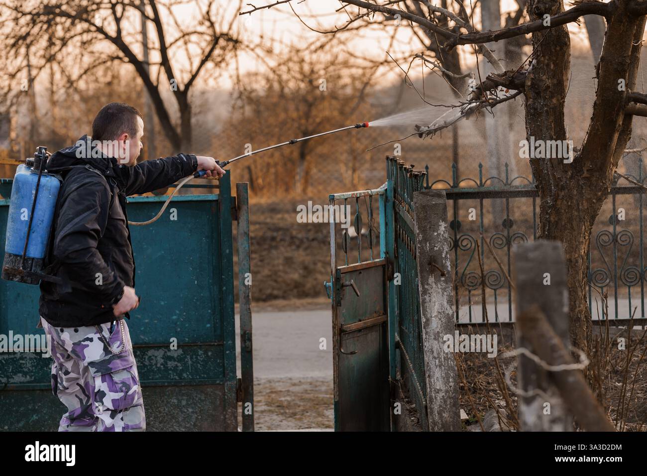 Man Spraying Insecticide on Backyard Trees to Prevent Infestations at ...