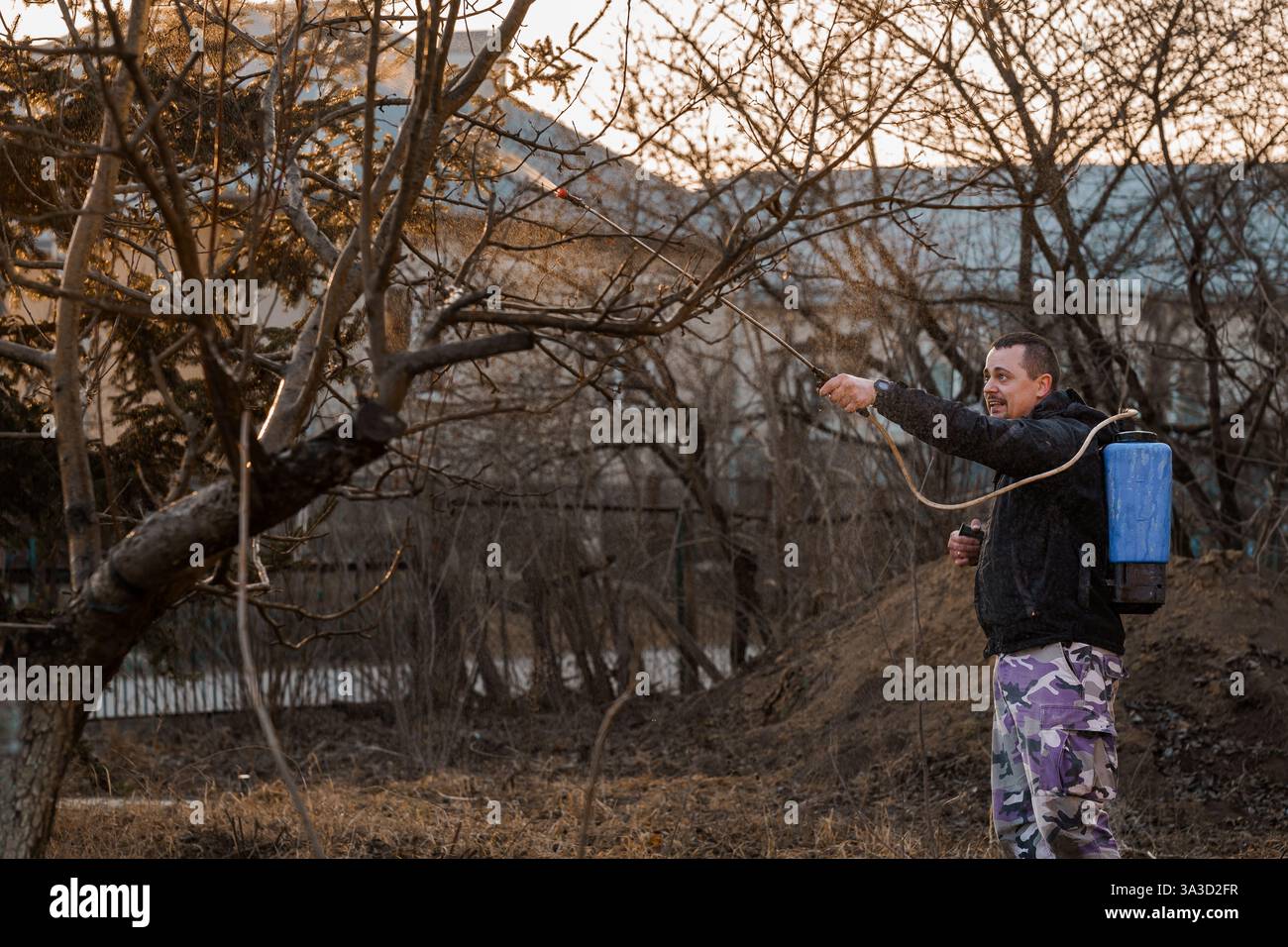 Man Spraying Trees with Pesticide in Backyard Garden During Late ...