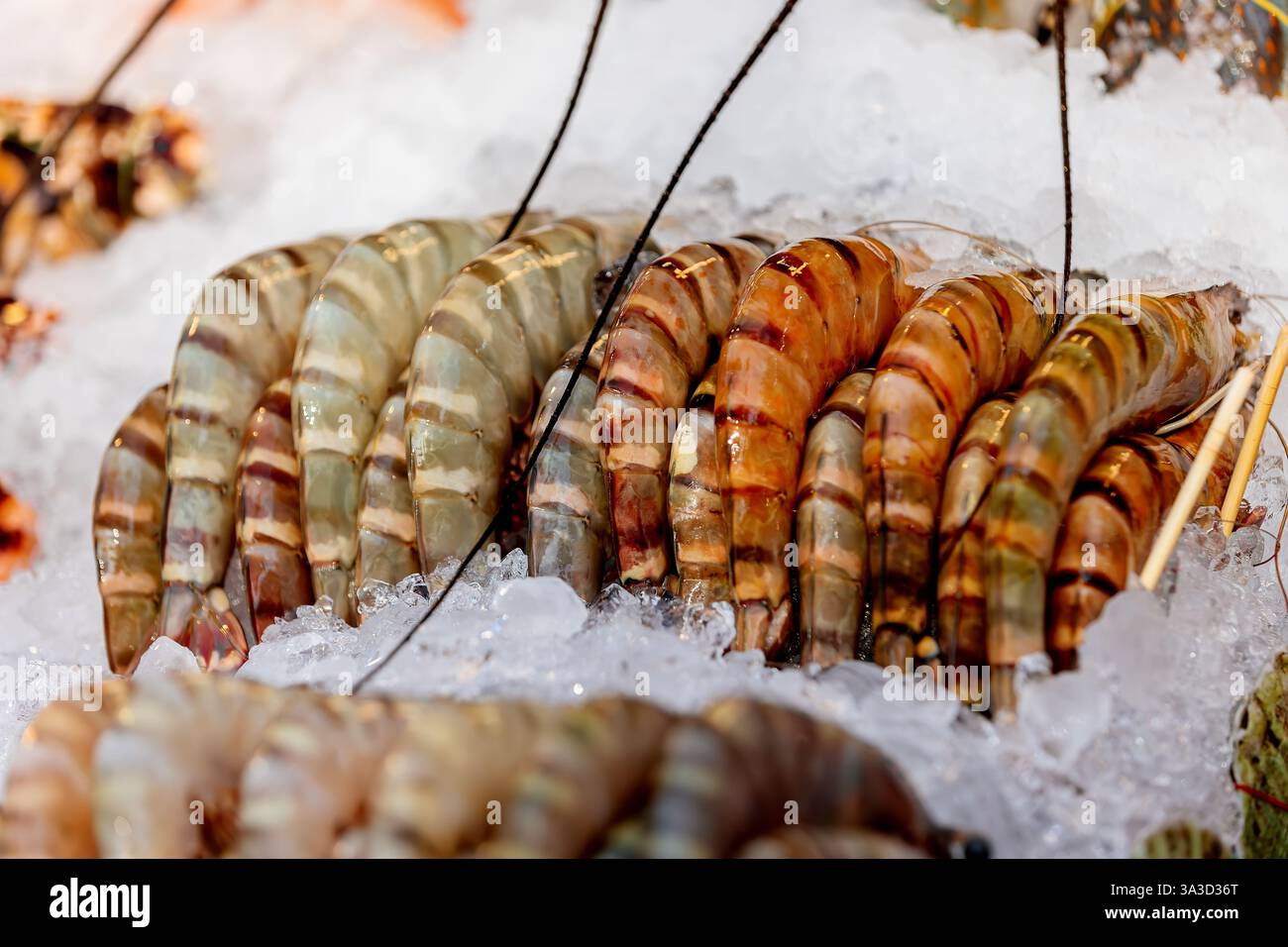Close-up of fresh and chilled seafood displayed on store shelves ...