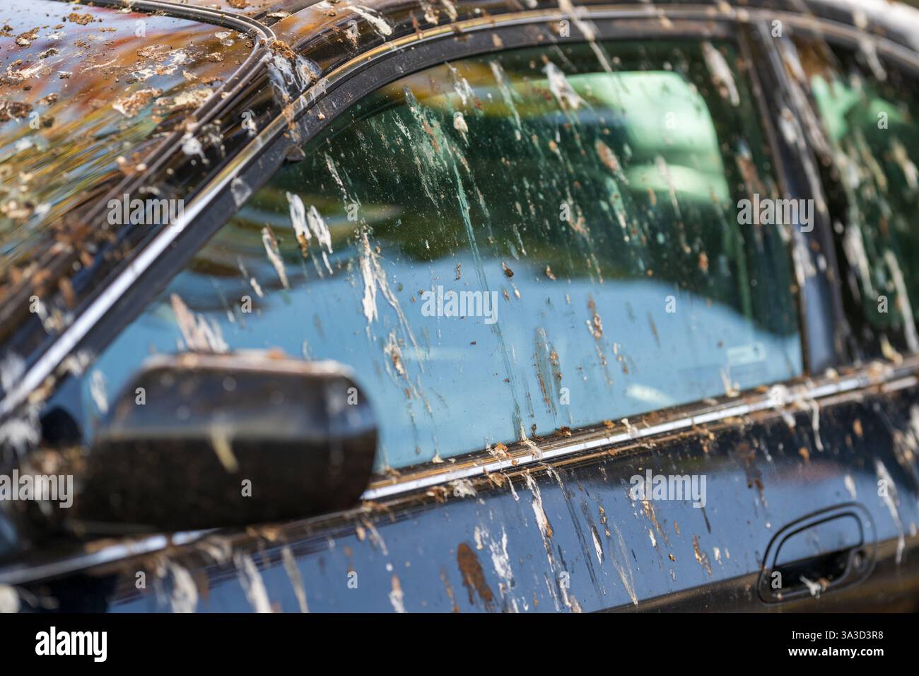 Black car covered in bird droppings Stock Photo - Alamy