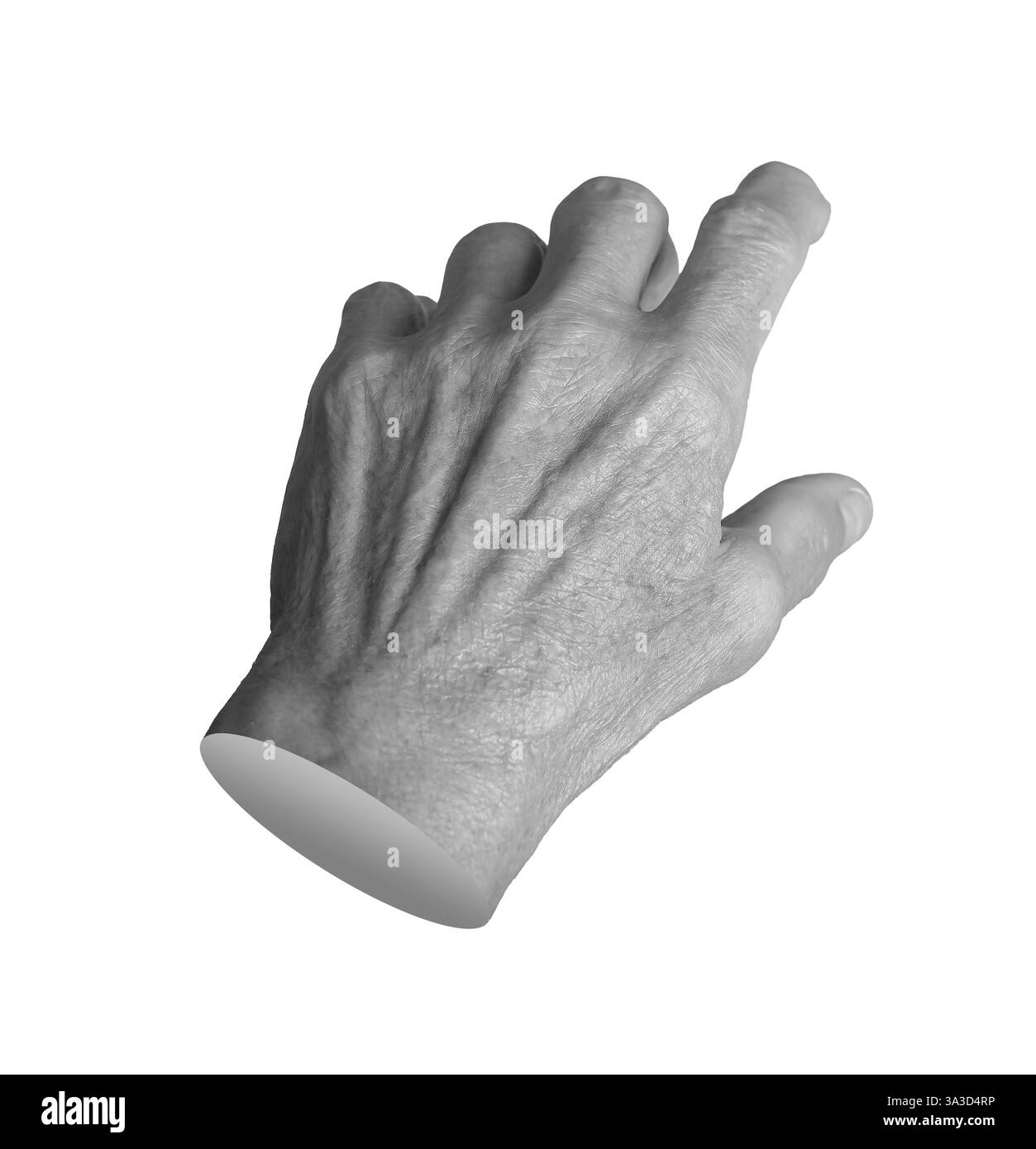 Including some of the veins Black and White Stock Photos & Images - Alamy