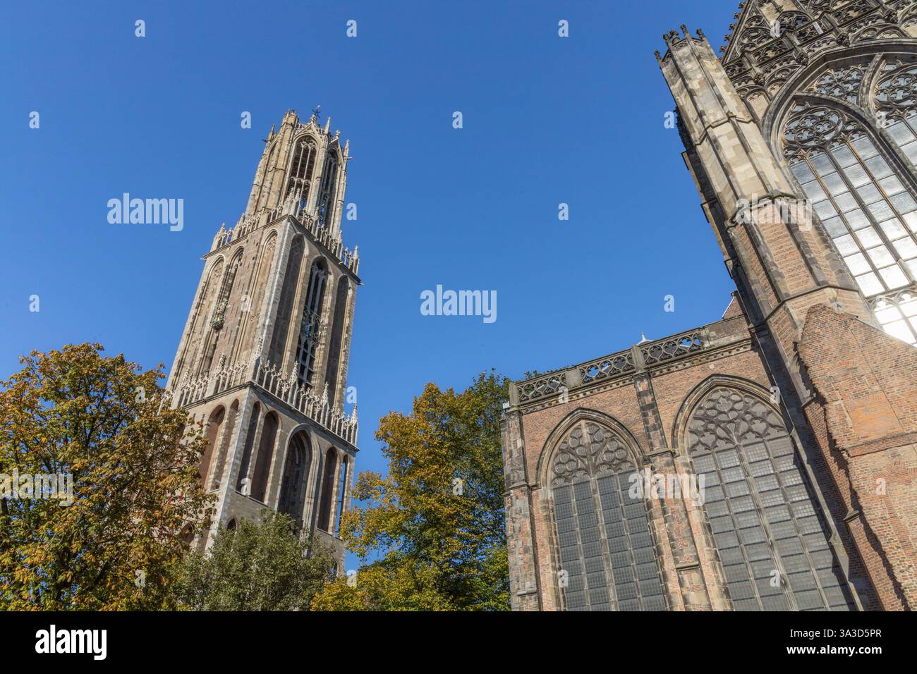 Dom Tower and St. Martin's Cathedral of Utrecht in the Netherlands ...