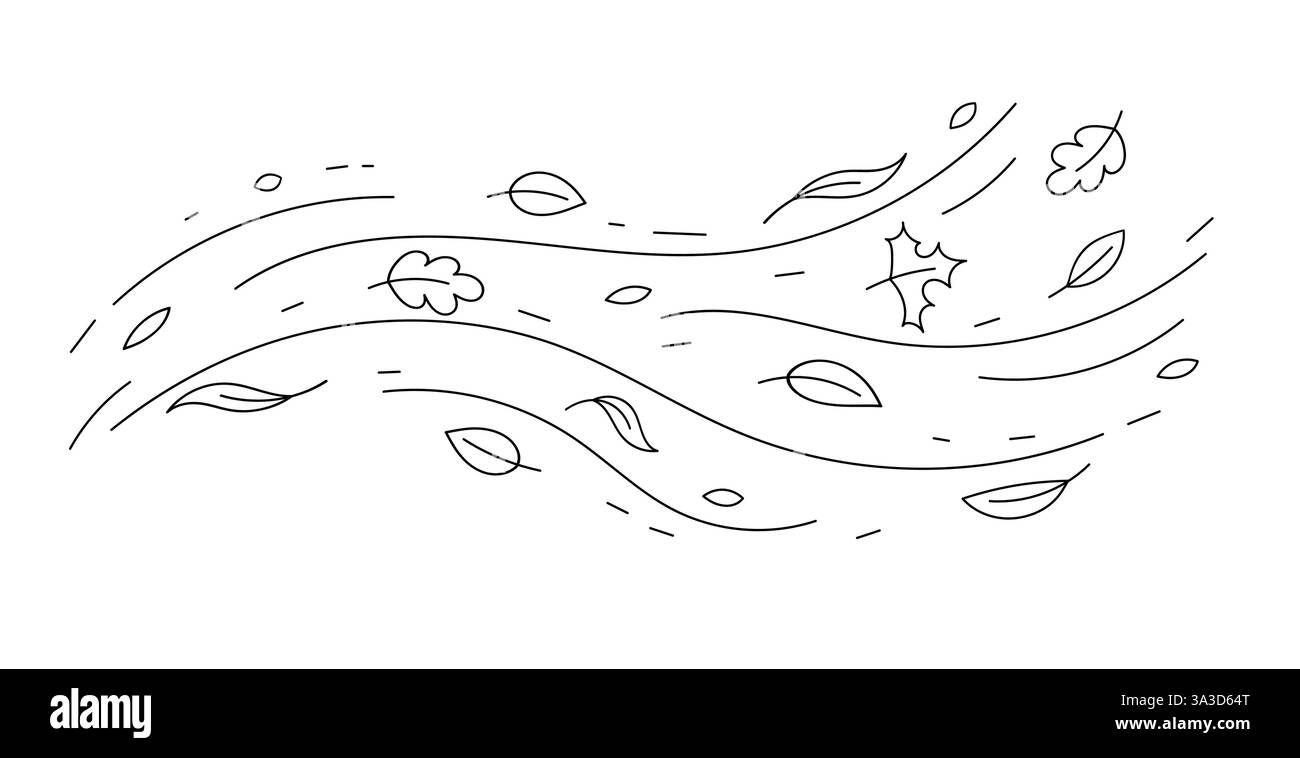 Airy leaves Black and White Stock Photos & Images - Alamy