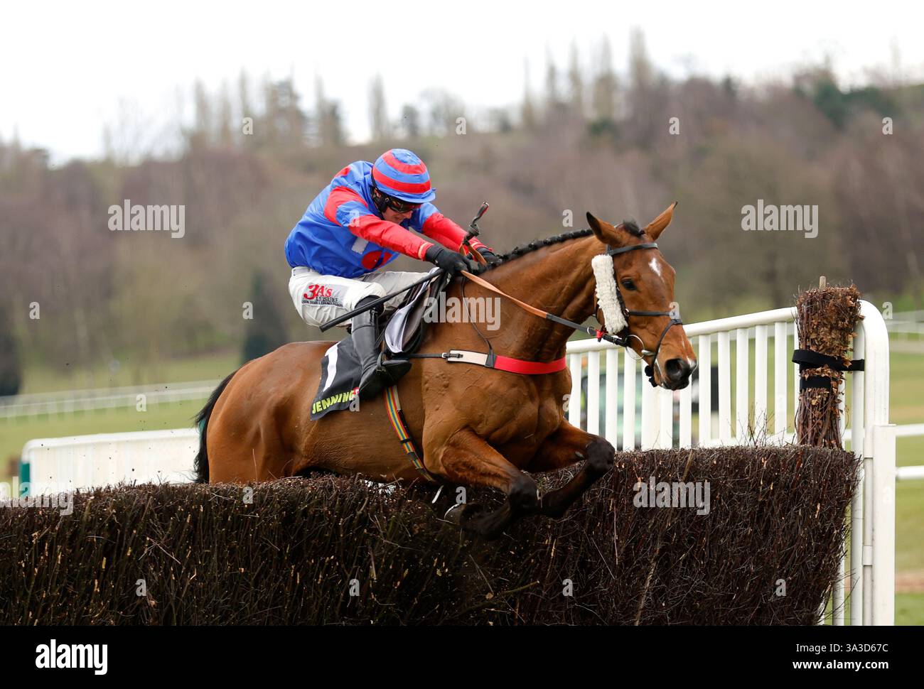 Mr Vango ridden by Jack Tudor on their way to winning the JenningsBet ...