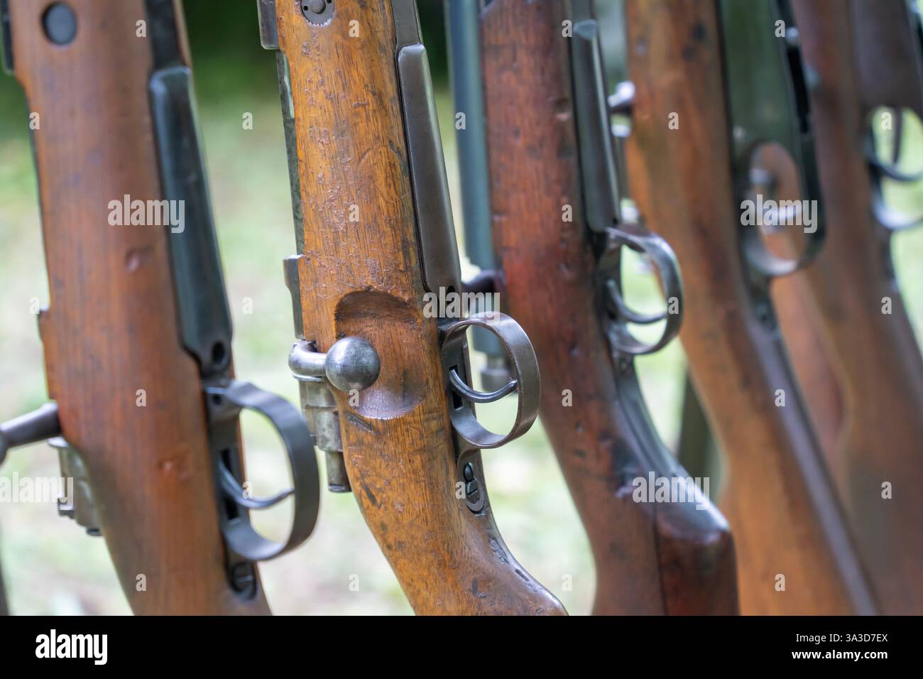 First and Second World War rifles lined up Stock Photo - Alamy